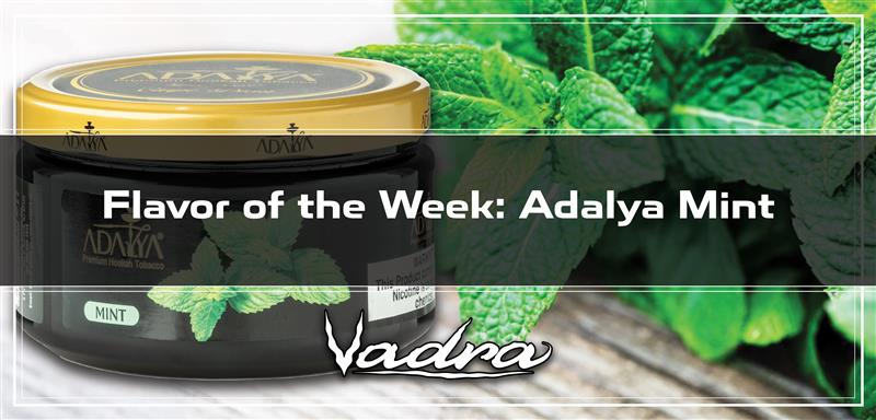 Flavor of the Week: Adalya Mint
