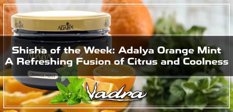Shisha of the Week: Adalya Orange Mint — A Refreshing Fusion of Citrus