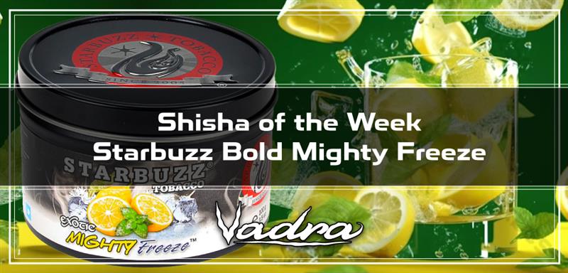 Shisha of the Week: Vadra's Pick – Starbuzz Bold Mighty Freeze